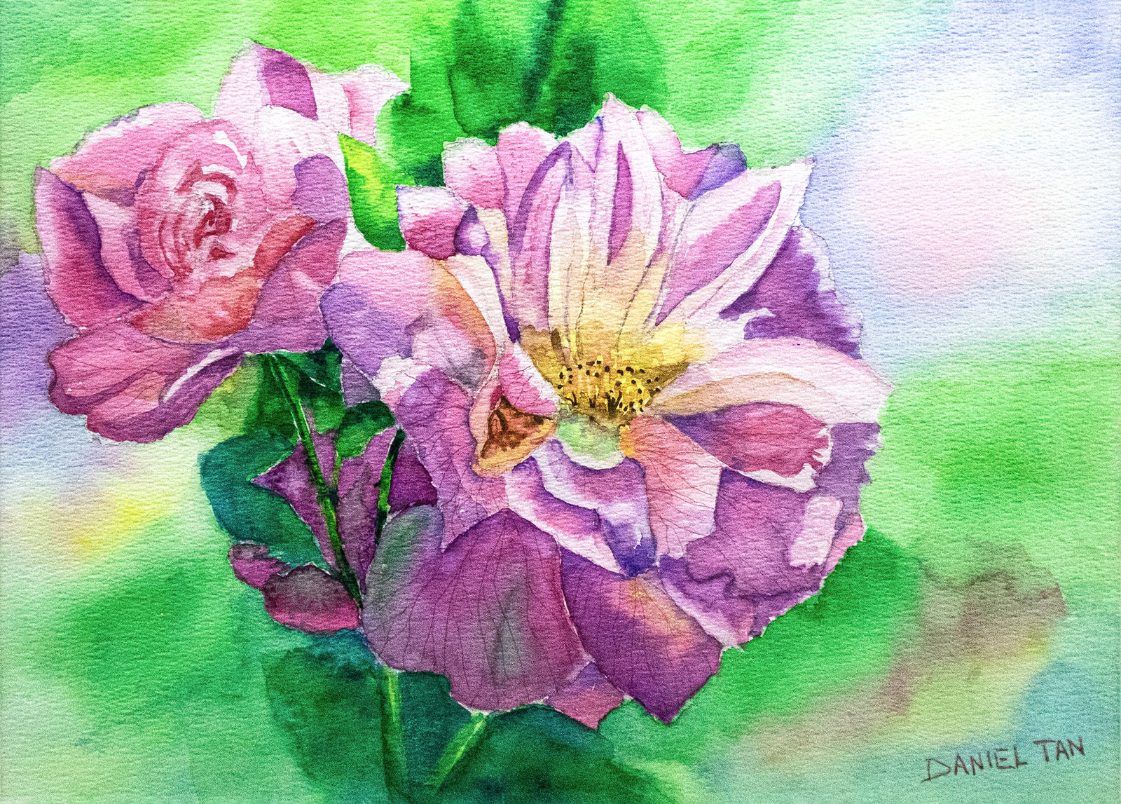 Roses by Daniel – ART:DIS STUDIO